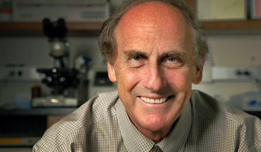 El premio Nobel a Ralph Steinman es un reconocimiento a la dermatología ...