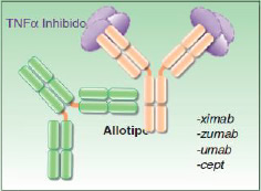 Nuevos conceptos sobre inmunogenicidad en el uso de los biológicos ...