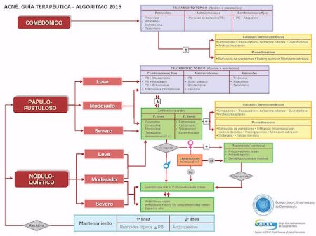 Guía de tratamiento de acné: Algoritmo 2015 – PIEL-L Latinoamericana