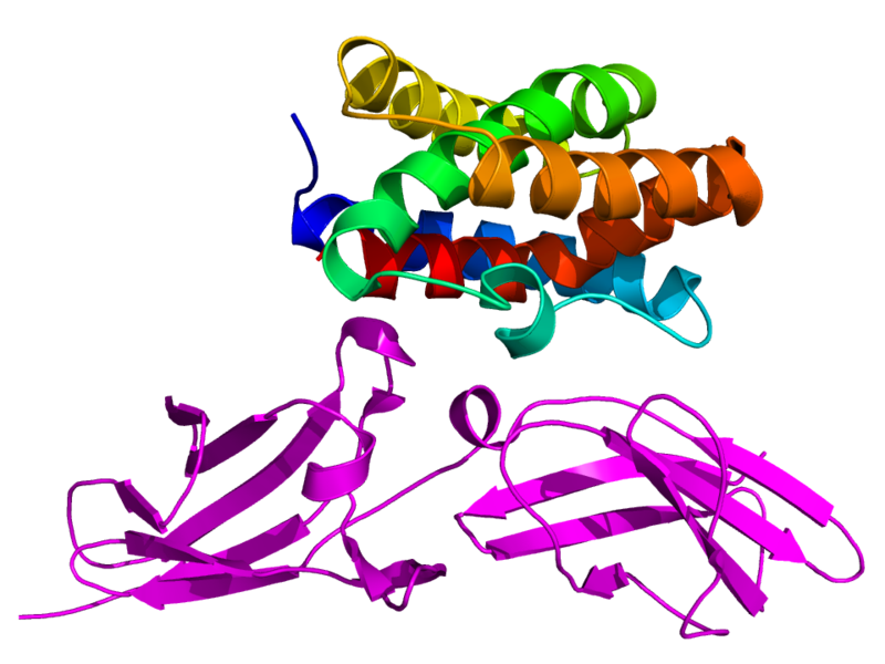 El papel de la interleucina-22 en la pitiriasis rosada – PIEL-L ...