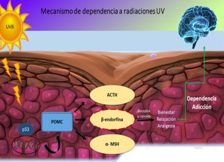 Tanorexia: cuando el sol se convierte en una droga adictiva – PIEL-L ...