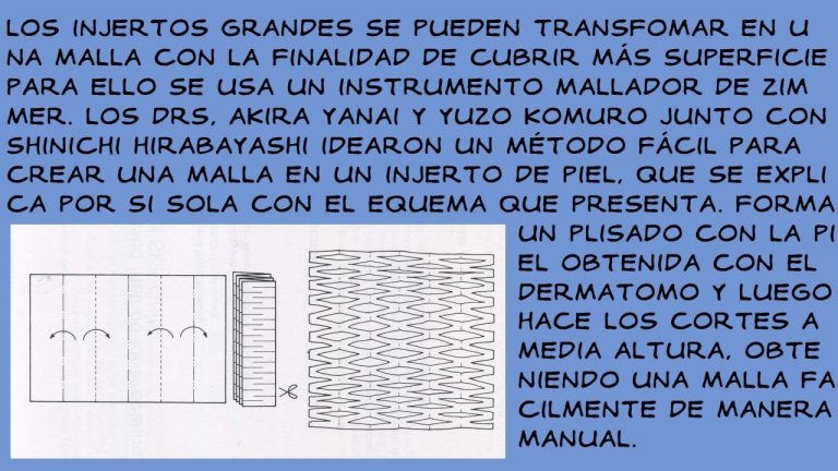 Injerto cutáneo – PIEL-L Latinoamericana