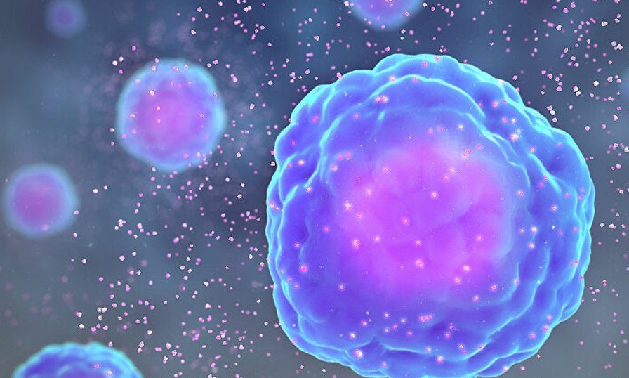 Alostasis cutánea y microbiota intestinal – PIEL-L Latinoamericana