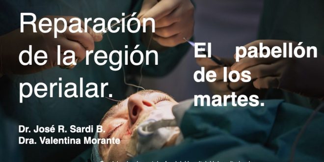 Reparación de la región perialar – PIEL-L Latinoamericana