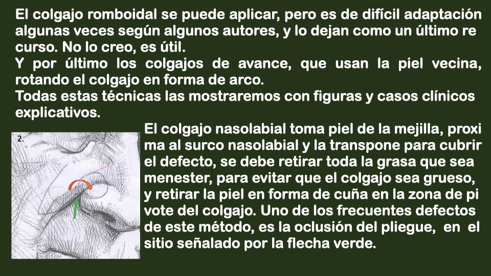 Reparación de la región perialar – PIEL-L Latinoamericana