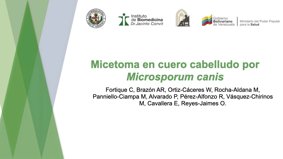 Micetoma en cuero cabelludo por Microsporum canis – PIEL-L Latinoamericana