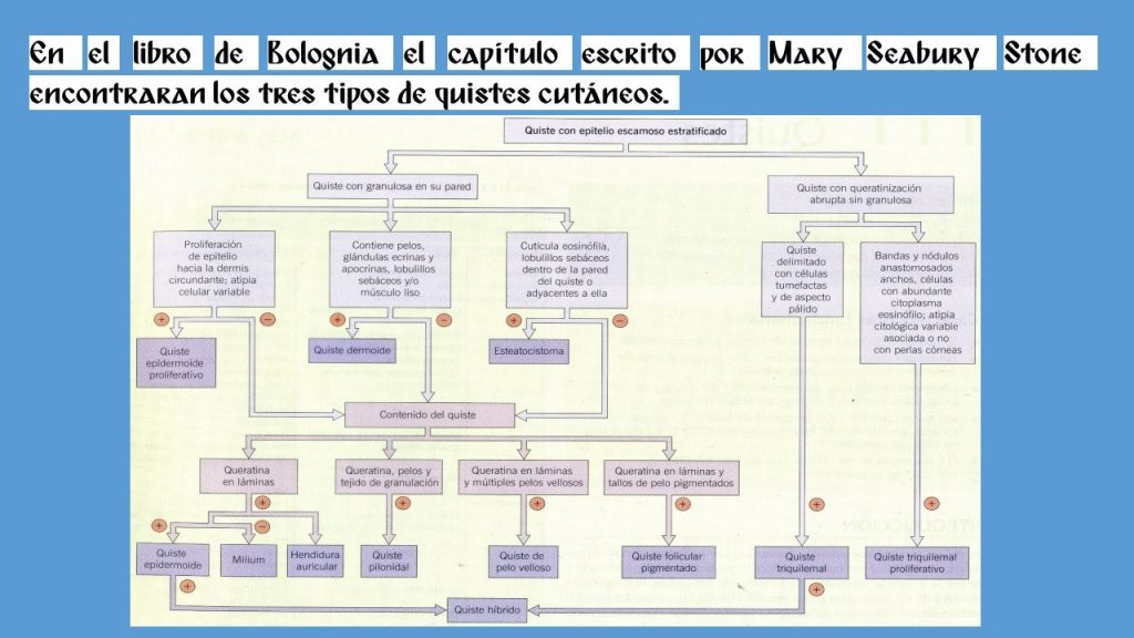 Quiste de inclusión Epidérmico – PIEL-L Latinoamericana